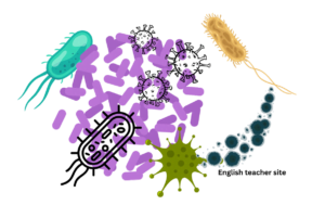 Is Bacteria Plural or Singular? Understanding Grammatical Number in ...