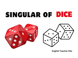 Whats the Singular of Dice: Unveiling the Correct Term - English ...