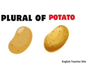 Plural of Potato: Is It Potatoes or Potatos? - English Teacher Site