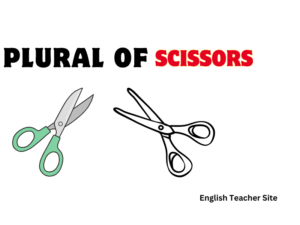 What's the Plural of Scissors: Understanding Regular and Irregular ...