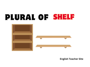 What's the Plural of Shelf: Unveiling the Correct Form - English ...