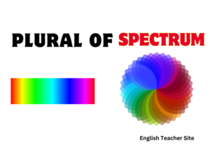 What's the Plural of Spectrum: Unveiling the Correct Term - English ...
