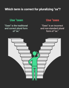 Oxen or Oxes? 5 Easy Tips to Never Get It Wrong (With Examples) Oxen or ...
