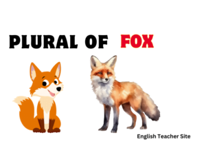 What's the Plural of Fox: Understanding Standard and Irregular Plurals ...